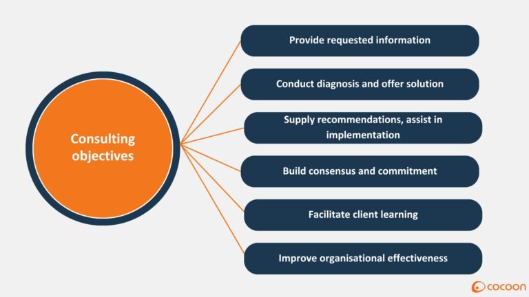 Eight consulting objectives and how to meet them | Cocoon Technology